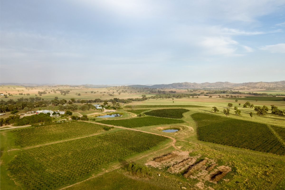 Lowe Family Wine Co - The Farm