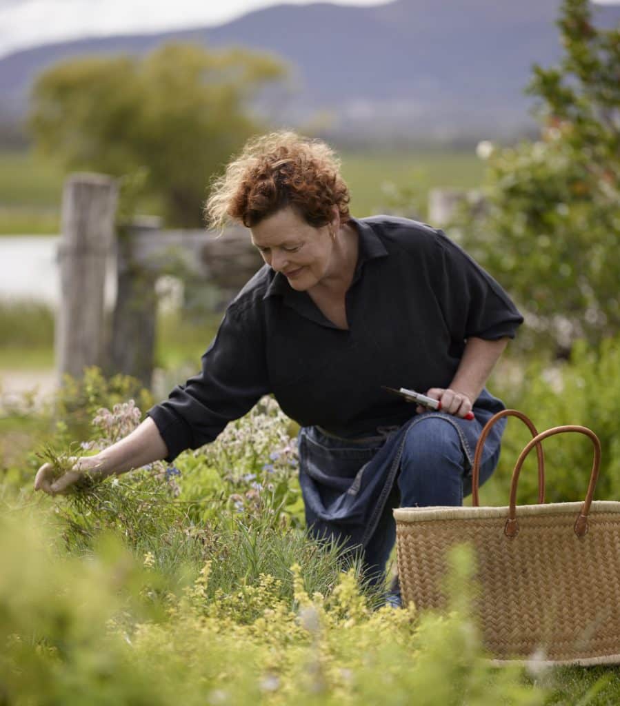 Lowe Family Wine Co | Kim Currie