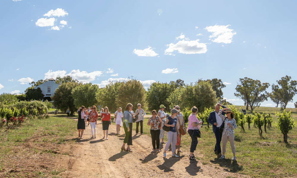 Lowe Family Wine Co | Vineyard walk