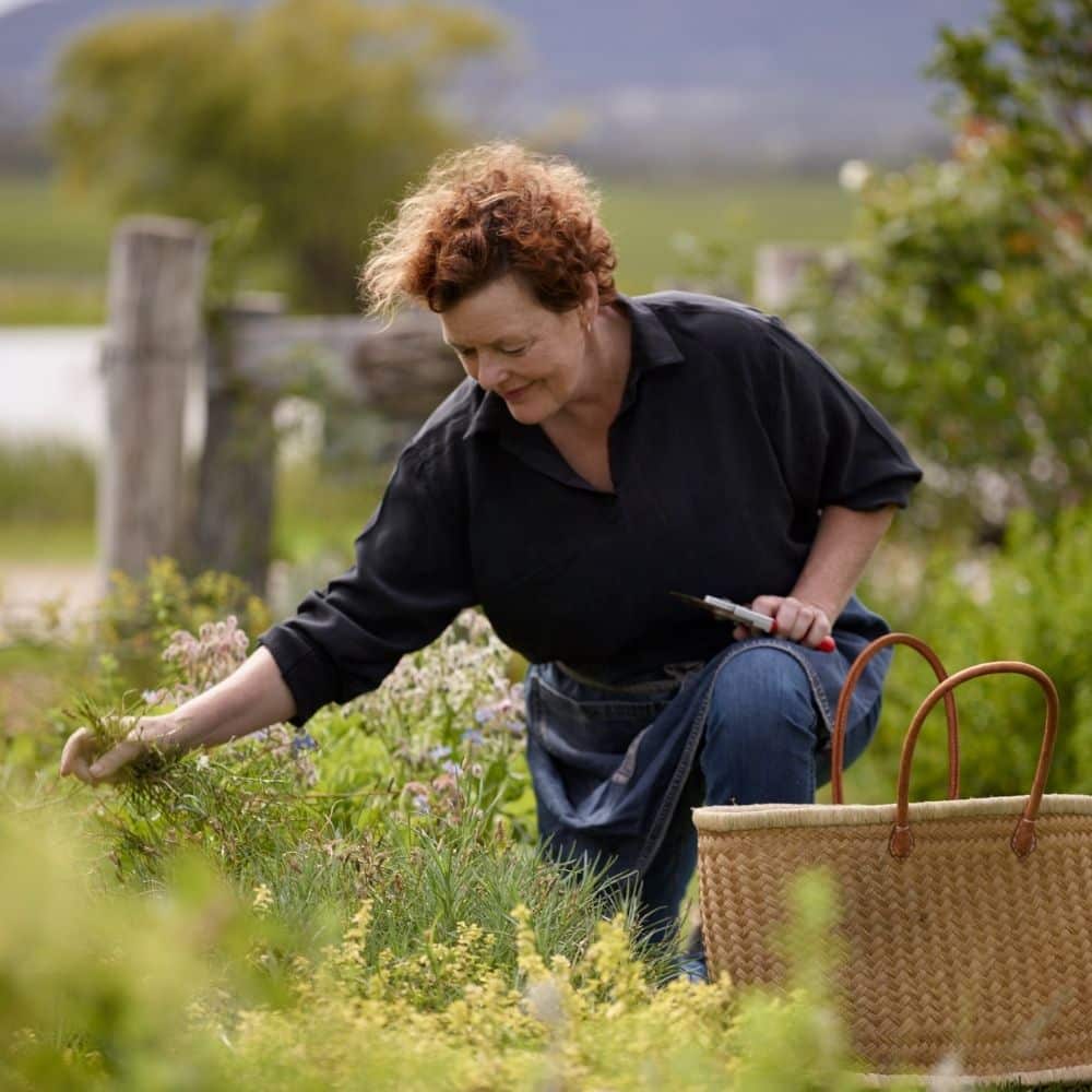 Lowe Family Wine Co | Kim Currie