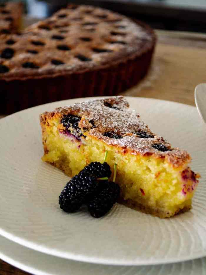 Lowe Family Wine Co | Janine’s Mulberry Frangipane Tart